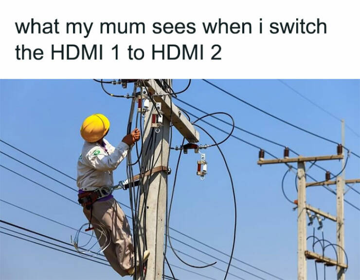 Procrastinator’s Paradise: A Collection Of Random Memes For Your ...