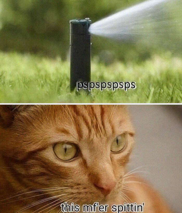 Snappy Witty Memes To Share With Your Favorites (49 PICS) - Izismile.com