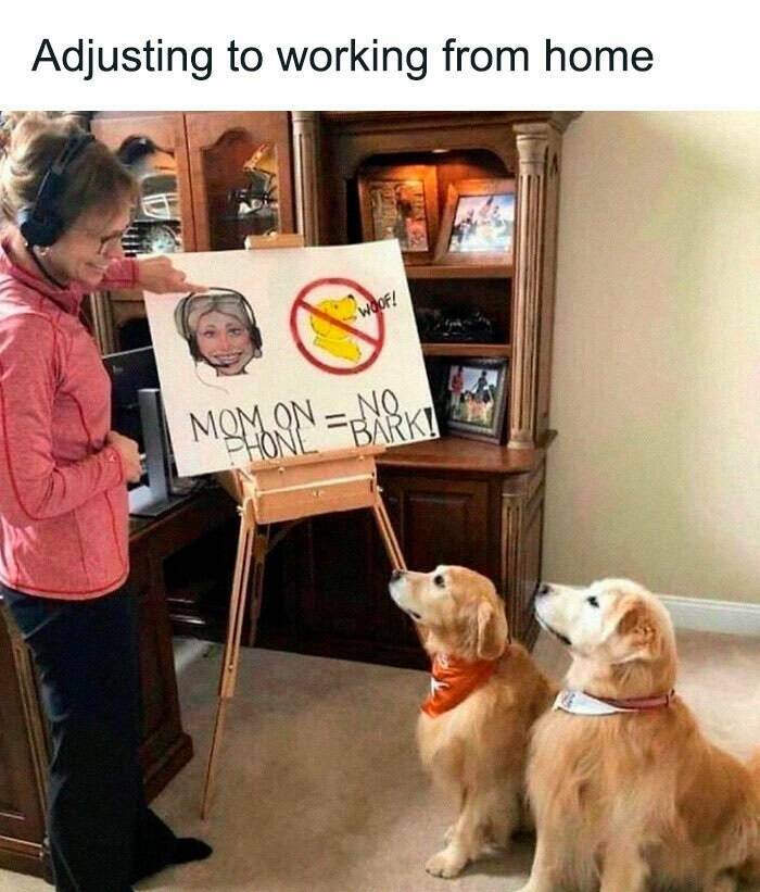 Snappy Witty Memes To Share With Your Favorites (49 PICS) - Izismile.com