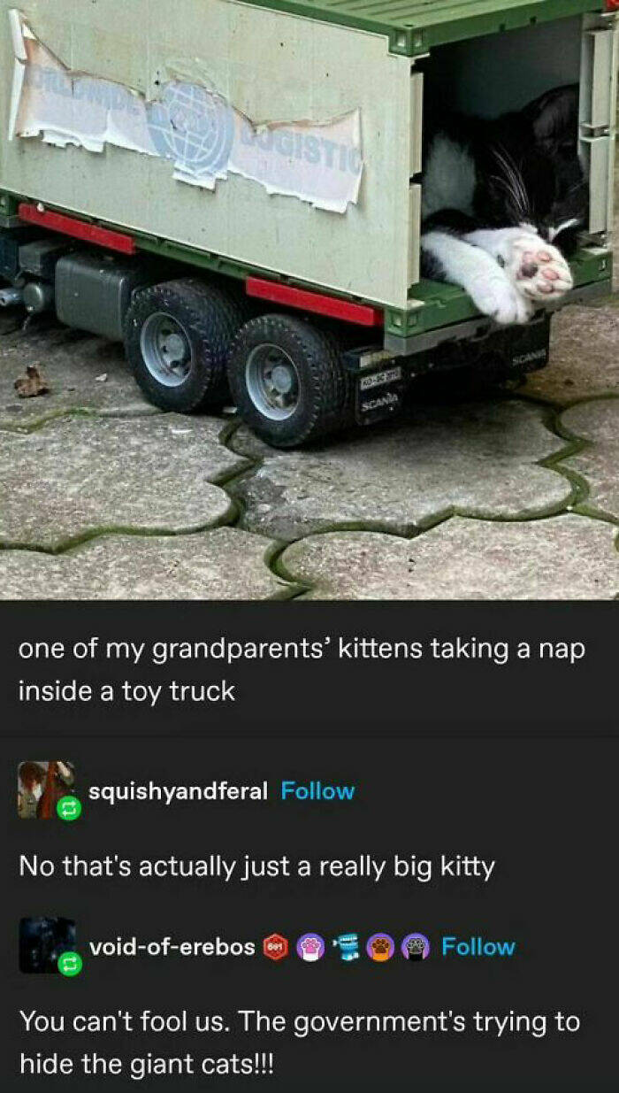 Laugh-Out-Loud Animal Memes That Will Have You Howling (45 PICS ...