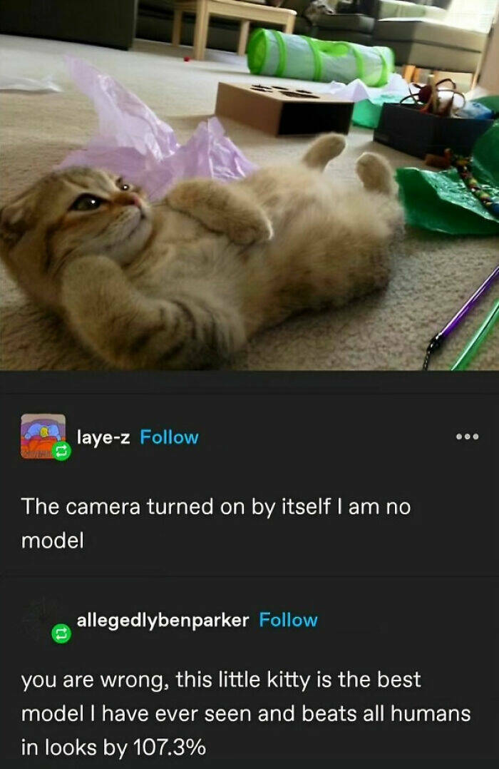 Laugh-Out-Loud Animal Memes That Will Have You Howling (45 PICS ...