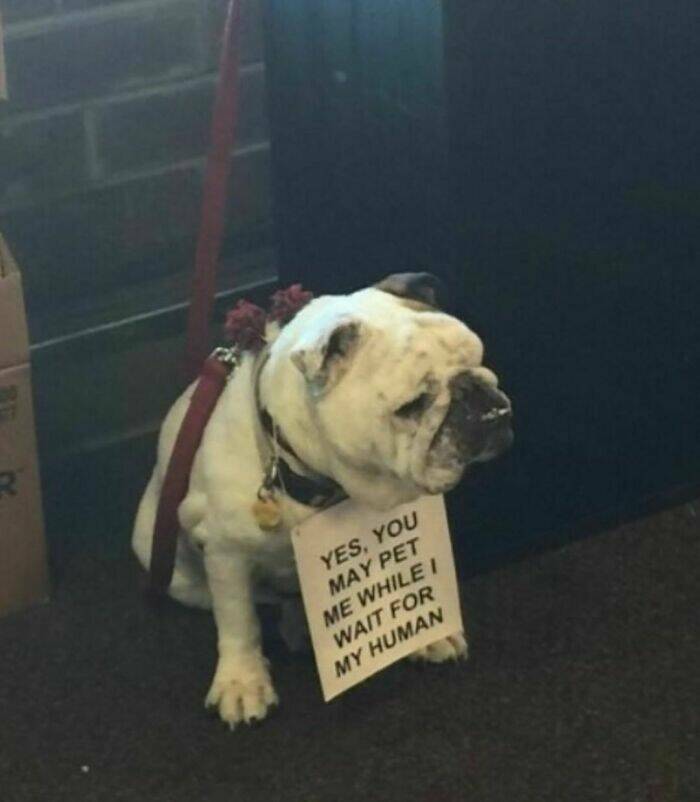 Deeply Relatable Pics And Memes For The Emotionally Aware (55 PICS ...