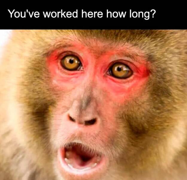 Work Anniversary Memes That Every Employee Can Relate To (48 PICS ...