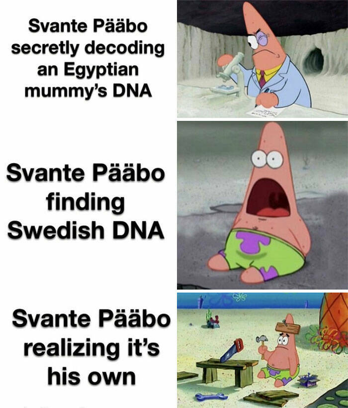 The Most Entertaining History Lessons Told Through Memes (33 PICS ...