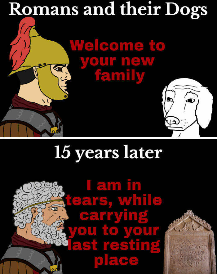 The Most Entertaining History Lessons Told Through Memes (33 PICS ...