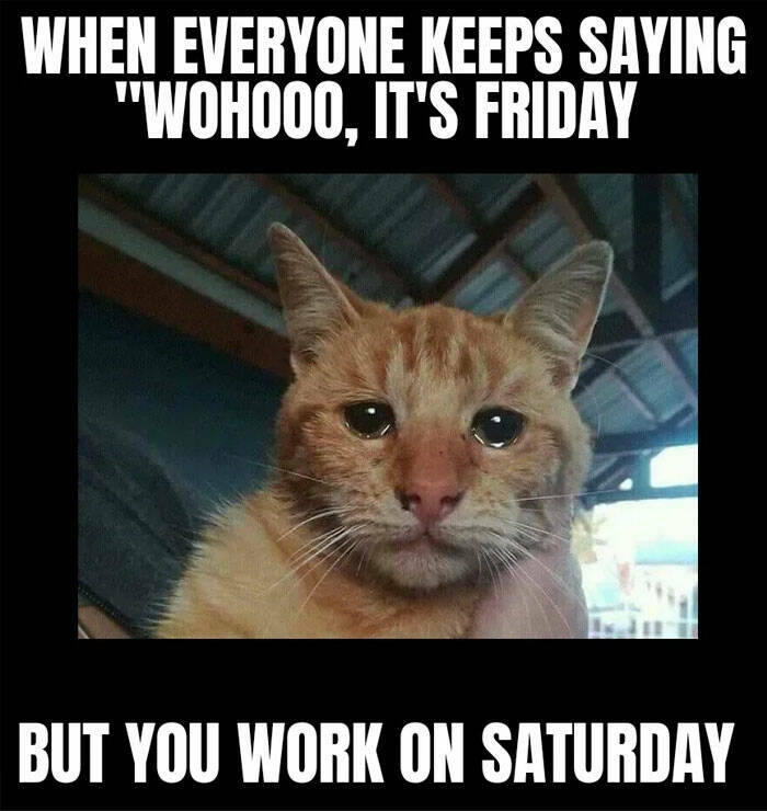 Lazy Saturday Memes To Keep You Laughing All Day 24 Pics