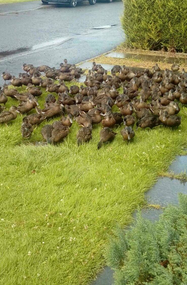 Strange And Odd Photos You Won’t Be Able To Unsee (40 PICS) - Izismile.com