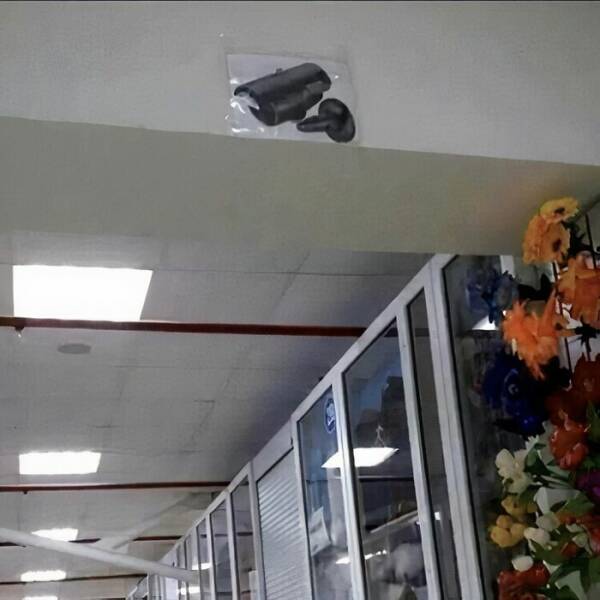 Randomly Funny Pics That Will Make You Forget Your To-Do List (50 PICS ...