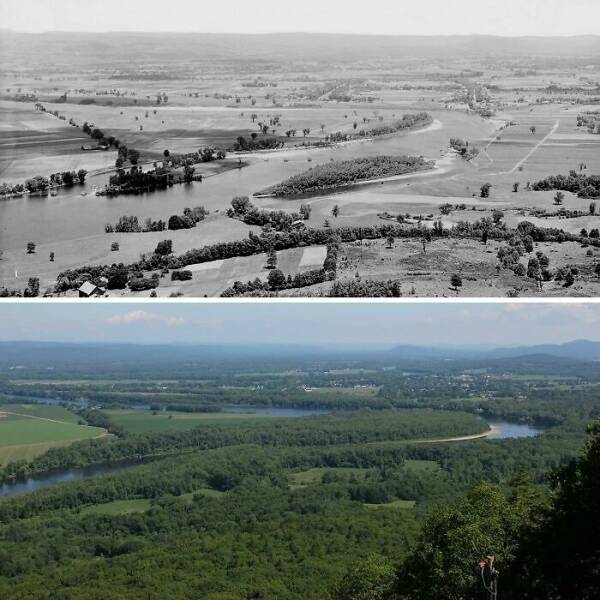 Amazing Before And After Photos of Trees Growing Over The Years (49 ...