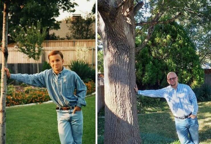 Amazing Before And After Photos of Trees Growing Over The Years (49 ...