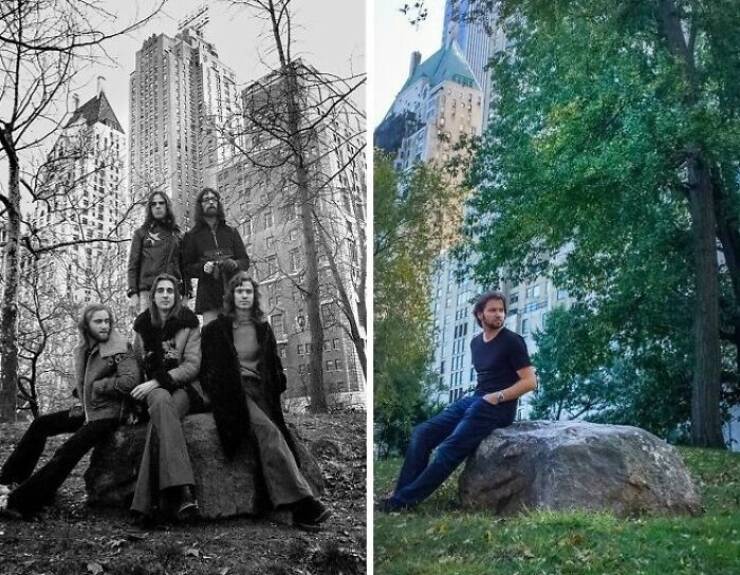 Amazing Before And After Photos of Trees Growing Over The Years (49 ...