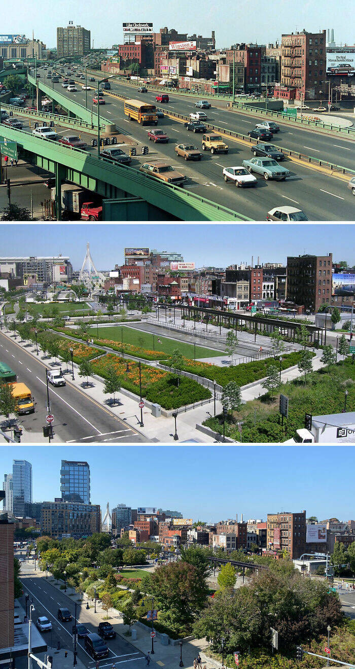 Amazing Before And After Photos of Trees Growing Over The Years (49 ...