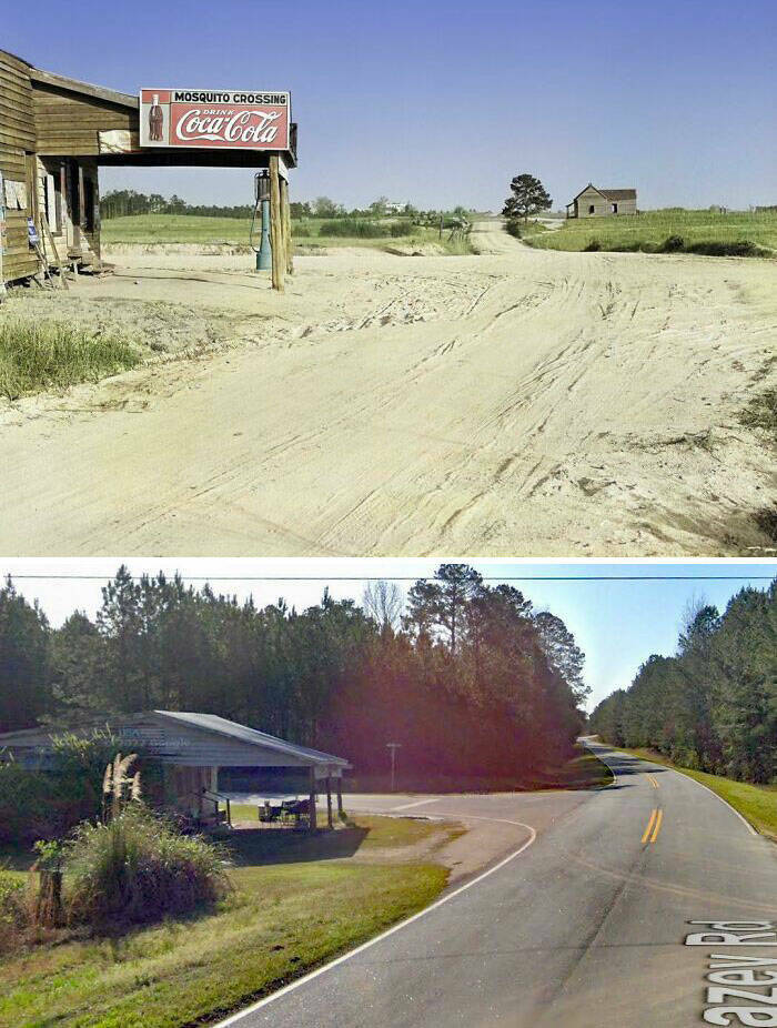 Amazing Before And After Photos of Trees Growing Over The Years (49 ...