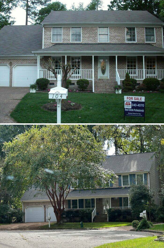 Amazing Before And After Photos of Trees Growing Over The Years (49 ...