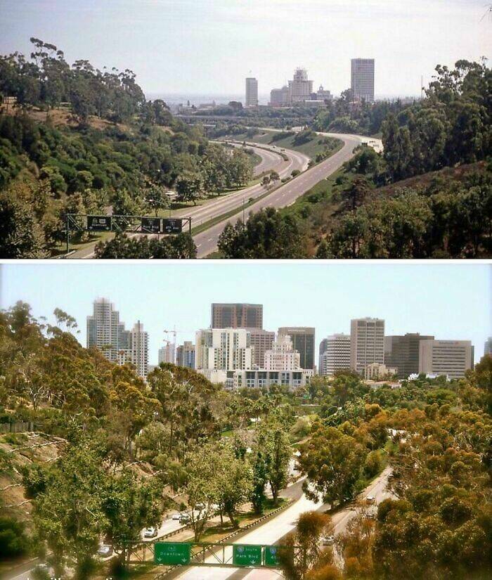 Amazing Before And After Photos of Trees Growing Over The Years (49 ...