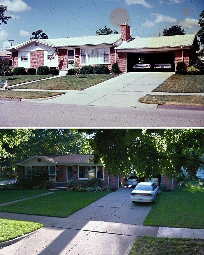 Amazing Before And After Photos of Trees Growing Over The Years (49 ...