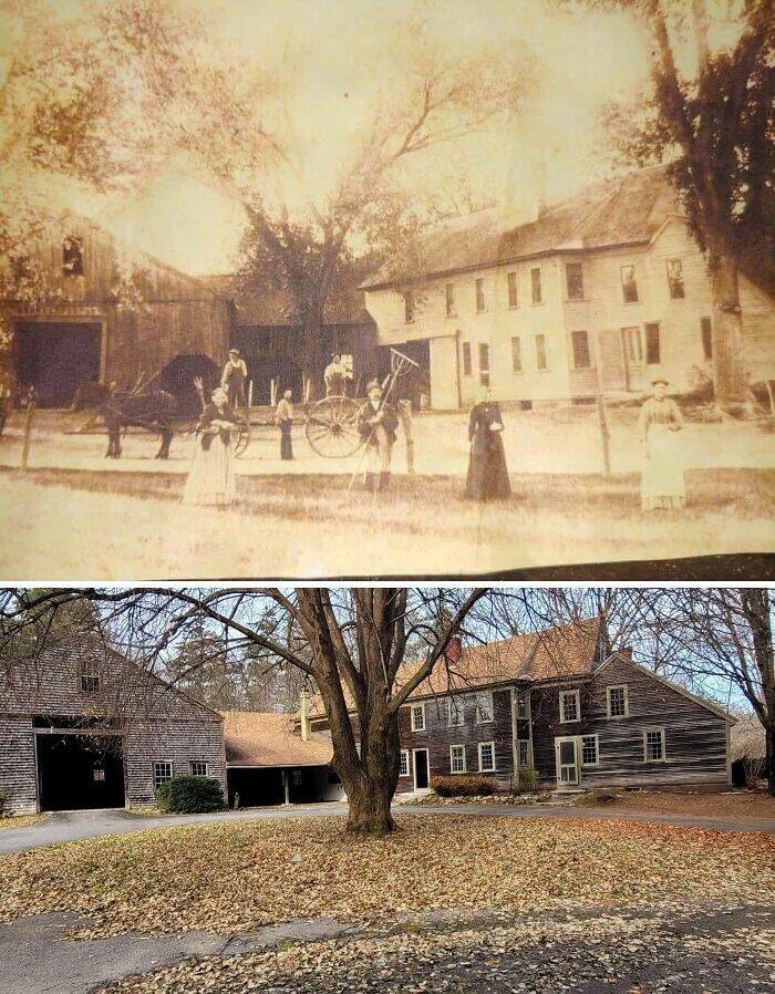 Amazing Before And After Photos of Trees Growing Over The Years (49 ...