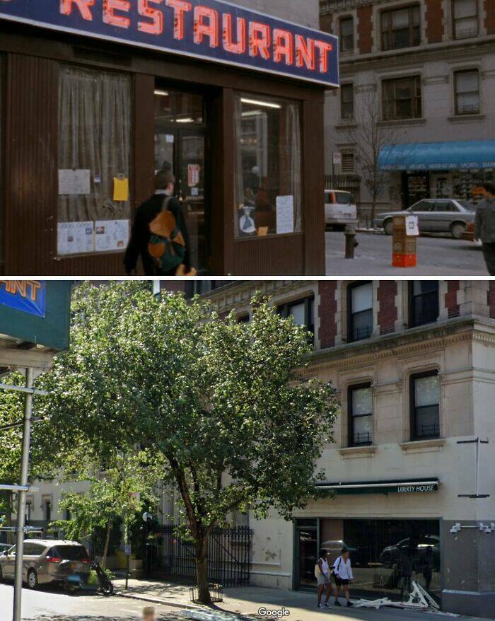 Amazing Before And After Photos of Trees Growing Over The Years (49 ...