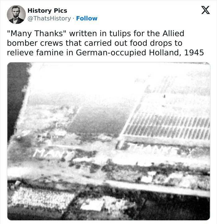 Fascinating Historical Photos You’ve Probably Never Seen Before (50 ...