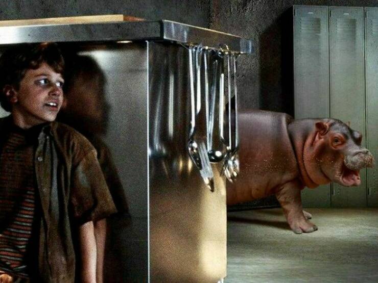 Horror Movie Memes That Will Make You Laugh And Scream (29 PICS ...