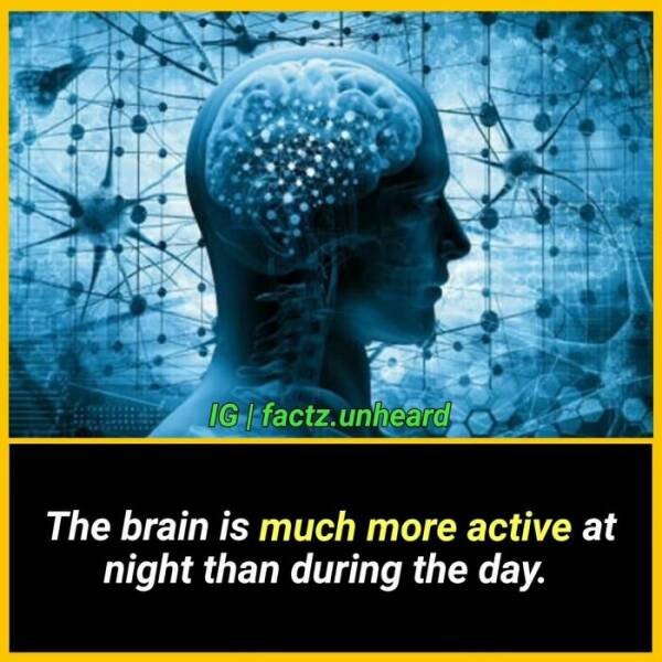 Mind-Blowing Facts About Our World That Will Fascinate You (48 PICS ...