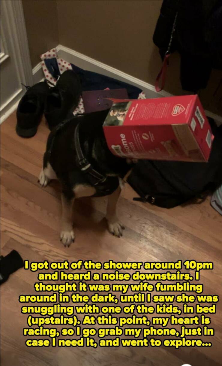 Animals Caught In The Funniest Moments (42 PICS + 4 GIFS) - Izismile.com