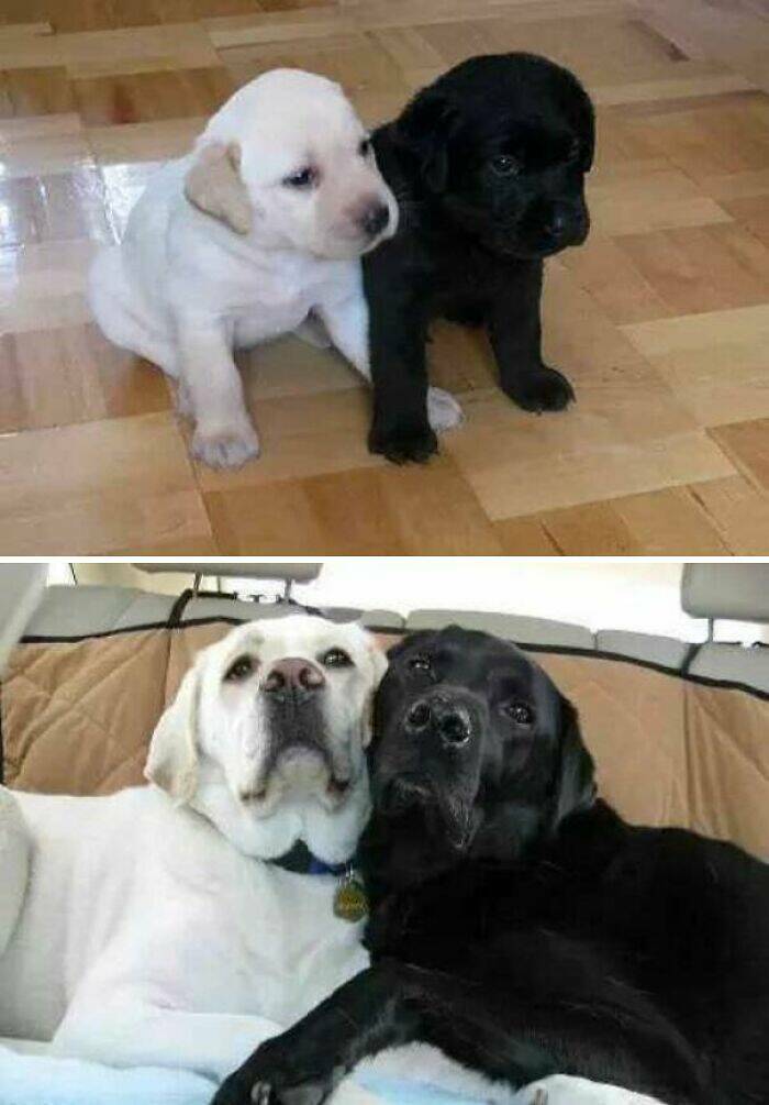 Adorable Pics That Feel Like A Hug For Your Soul (48 PICS) - Izismile.com