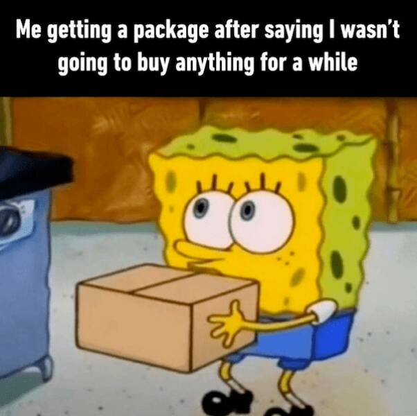Hilarious Memes To Pass The Time While Tracking Your Packages (28 PICS ...