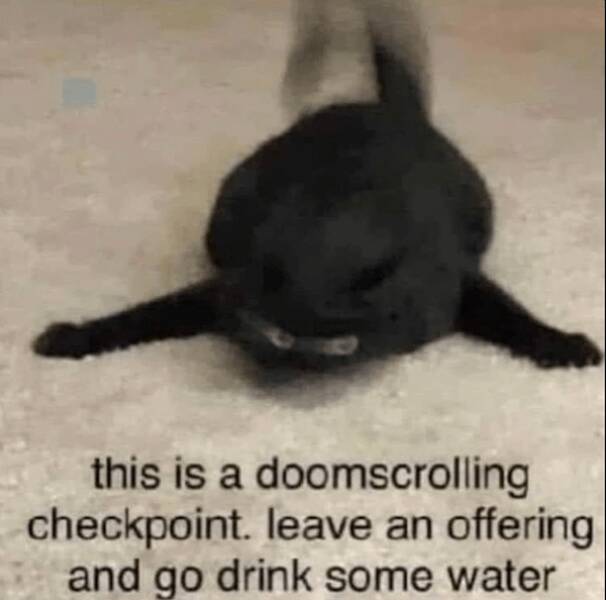 Scroll, Laugh, Repeat: Memes For The Always Connected (27 PICS ...