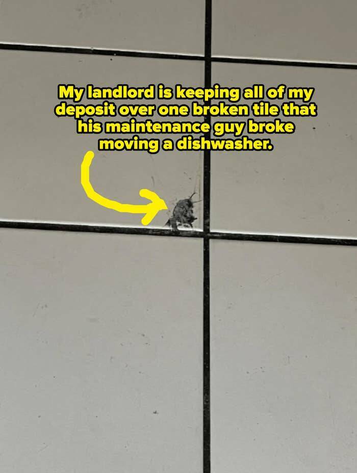 The Worst Landlords You Won’t Believe Actually Exist (41 PICS ...