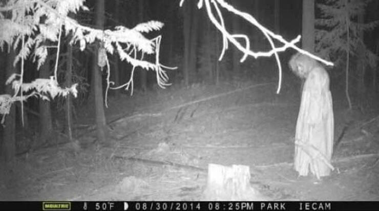 Creepy Trail Cam Photos That Will Make You Think Twice About The ...