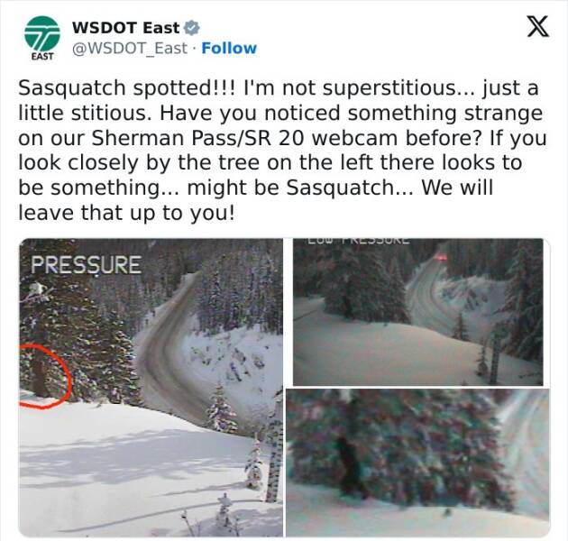 Creepy Trail Cam Photos That Will Make You Think Twice About The ...