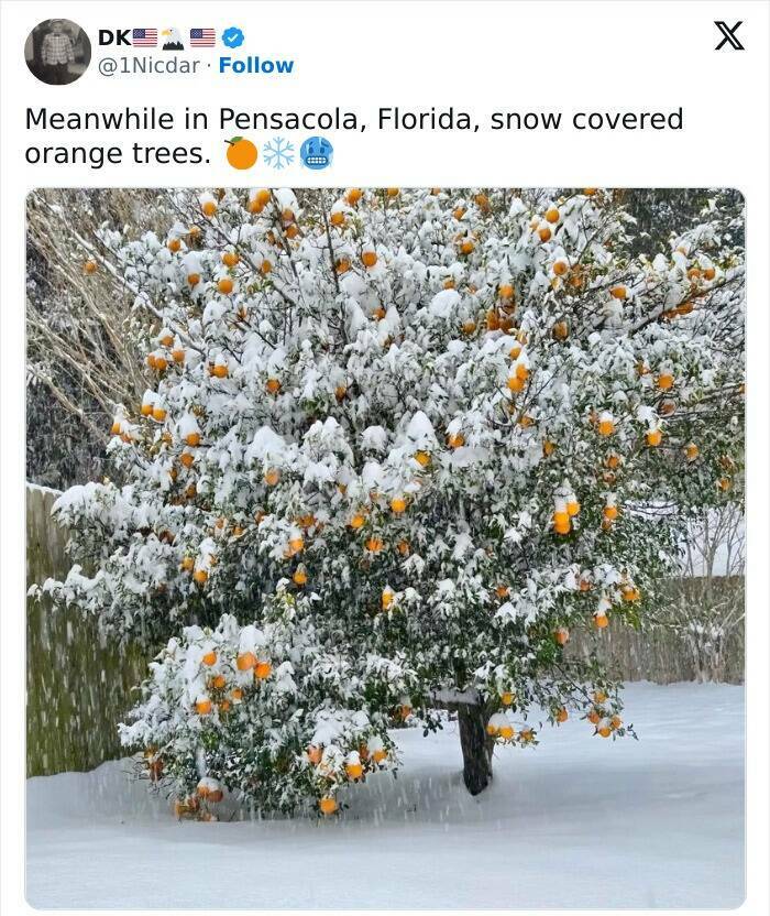 "Only In Florida" – The Most Bizarre Things Ever Witnessed (48 PICS ...