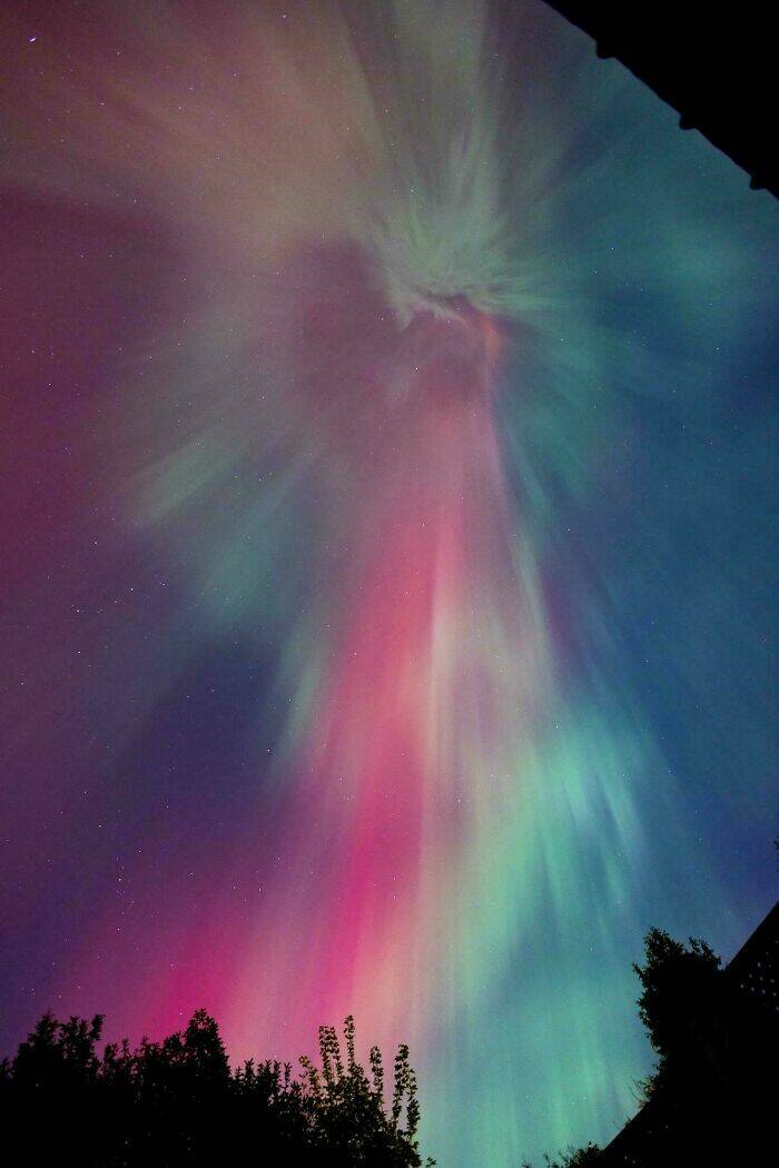 From Moose To Maple Syrup – The Most Canadian Things Ever (49 PICS ...