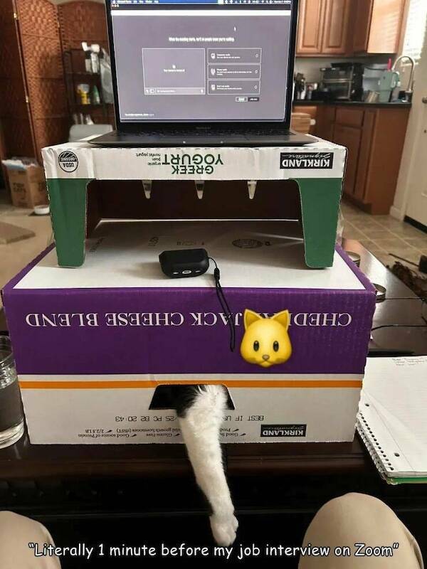 Surviving Work, One Task At A Time. (32 PICS + 4 GIFS) - Izismile.com