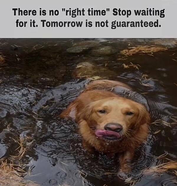 Feel-Good Memes And Pics To Lift Your Spirits (47 PICS) - Izismile.com