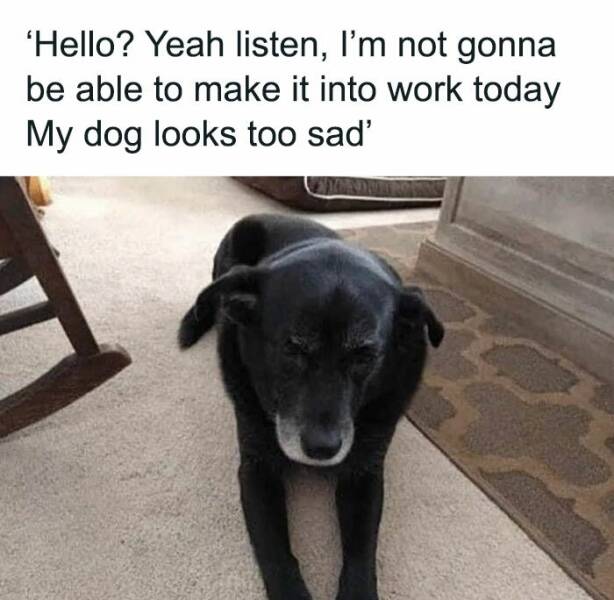 Work Struggles in Meme Form—Because We All Feel It (29 PICS) - Izismile.com