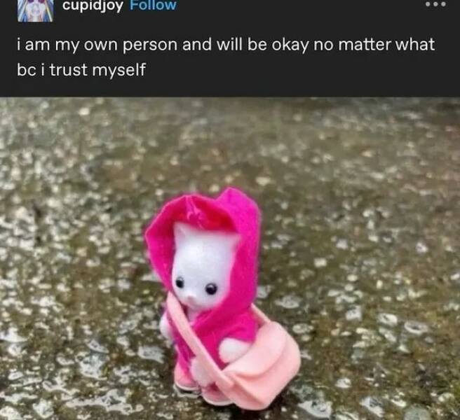 Feel-Good Memes And Pics To Lift Your Spirits (46 PICS) - Izismile.com