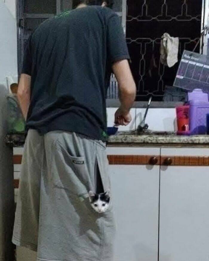 Unhinged Photos With Zero Context But Maximum Comedy (30 PICS) - Izismile.com