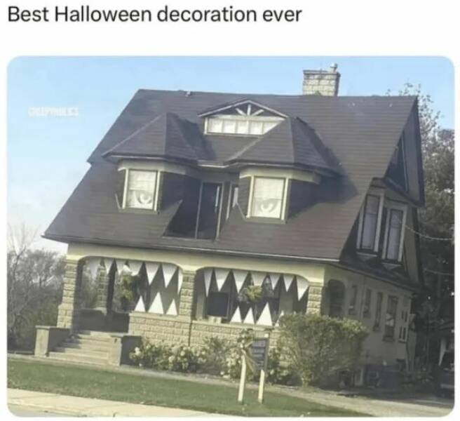 Feel-Good Memes And Pics To Lift Your Spirits (54 PICS) - Izismile.com