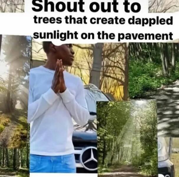 Feel-Good Memes And Pics To Lift Your Spirits (54 PICS) - Izismile.com