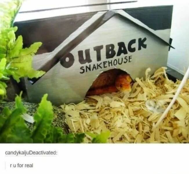 Feel-Good Memes And Pics To Lift Your Spirits (54 PICS) - Izismile.com