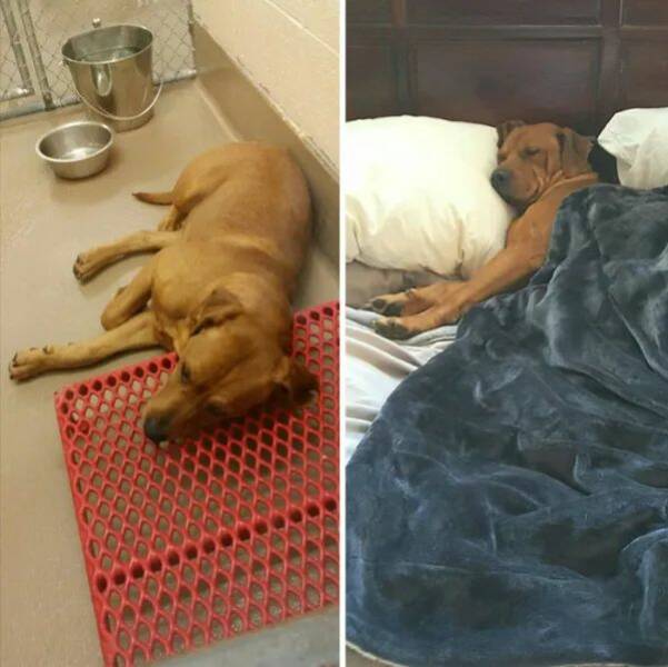 Feel-Good Memes And Pics To Lift Your Spirits (54 PICS) - Izismile.com