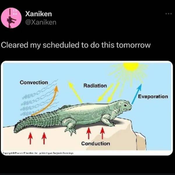 Feel-Good Memes And Pics To Lift Your Spirits (54 PICS) - Izismile.com