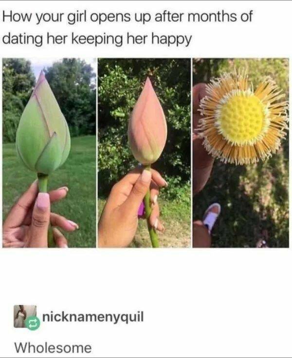 Feel-Good Memes And Pics To Lift Your Spirits (54 PICS) - Izismile.com