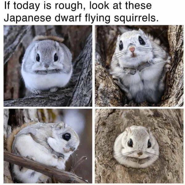 Feel-Good Memes And Pics To Lift Your Spirits (54 PICS) - Izismile.com