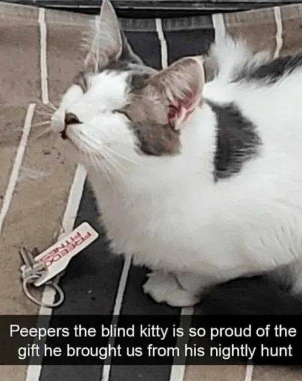 Feel-Good Memes And Pics To Lift Your Spirits (54 PICS) - Izismile.com