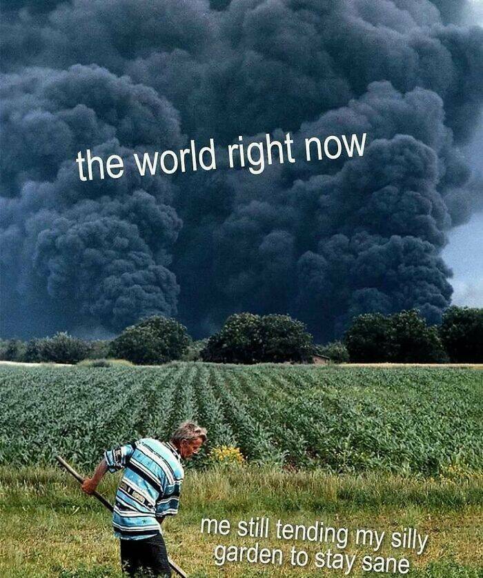 Plants, Puns And Potting Soil: Hilarious Memes For Garden Geeks (44 ...