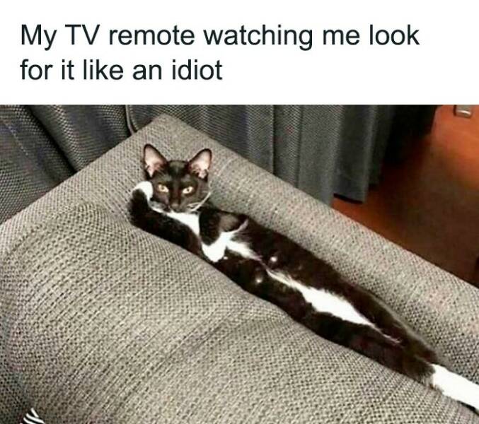 Totally Random, Absolutely Hilarious Memes (40 PICS) - Izismile.com