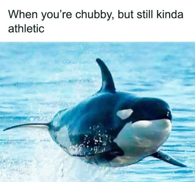 Totally Random, Absolutely Hilarious Memes (40 PICS) - Izismile.com